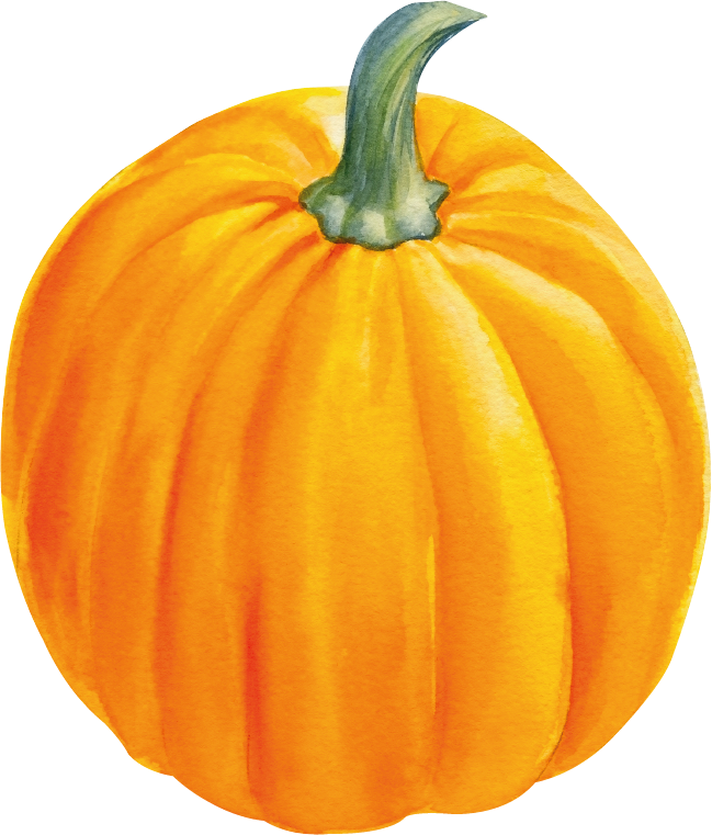 Söderköpingsbonden – Självplock Pumpor, Bär mm